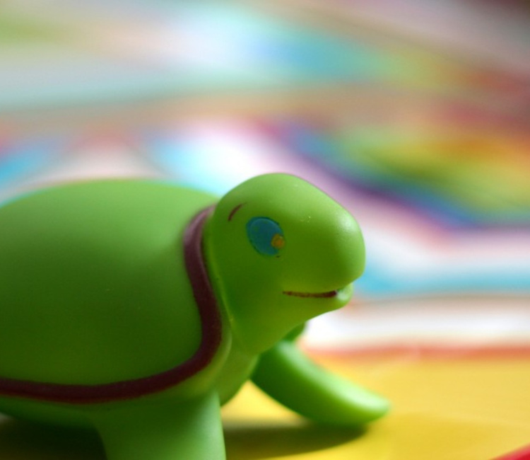 Lan Turtle – A cool gadget from Hak5 | Incognito Lab