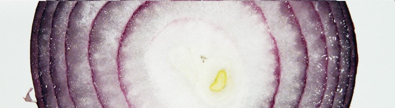 Tor map | Incognito Lab