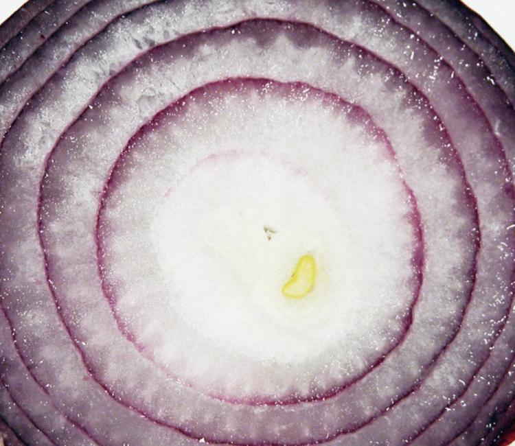 Tor map | Incognito Lab